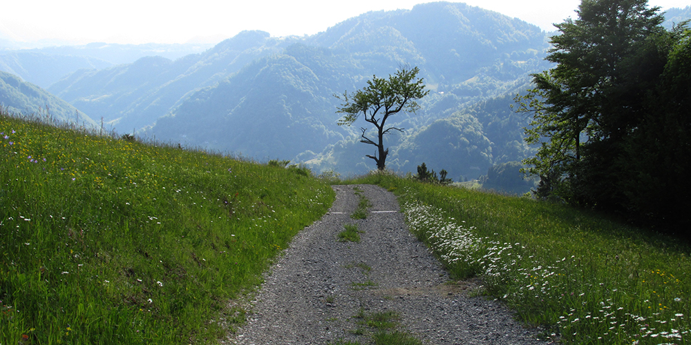 MTB-ITD - Bevkov vrh